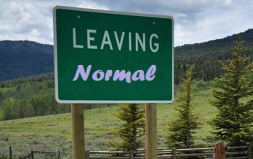 Normal Is Good – Tales from a Mid-Life Mama