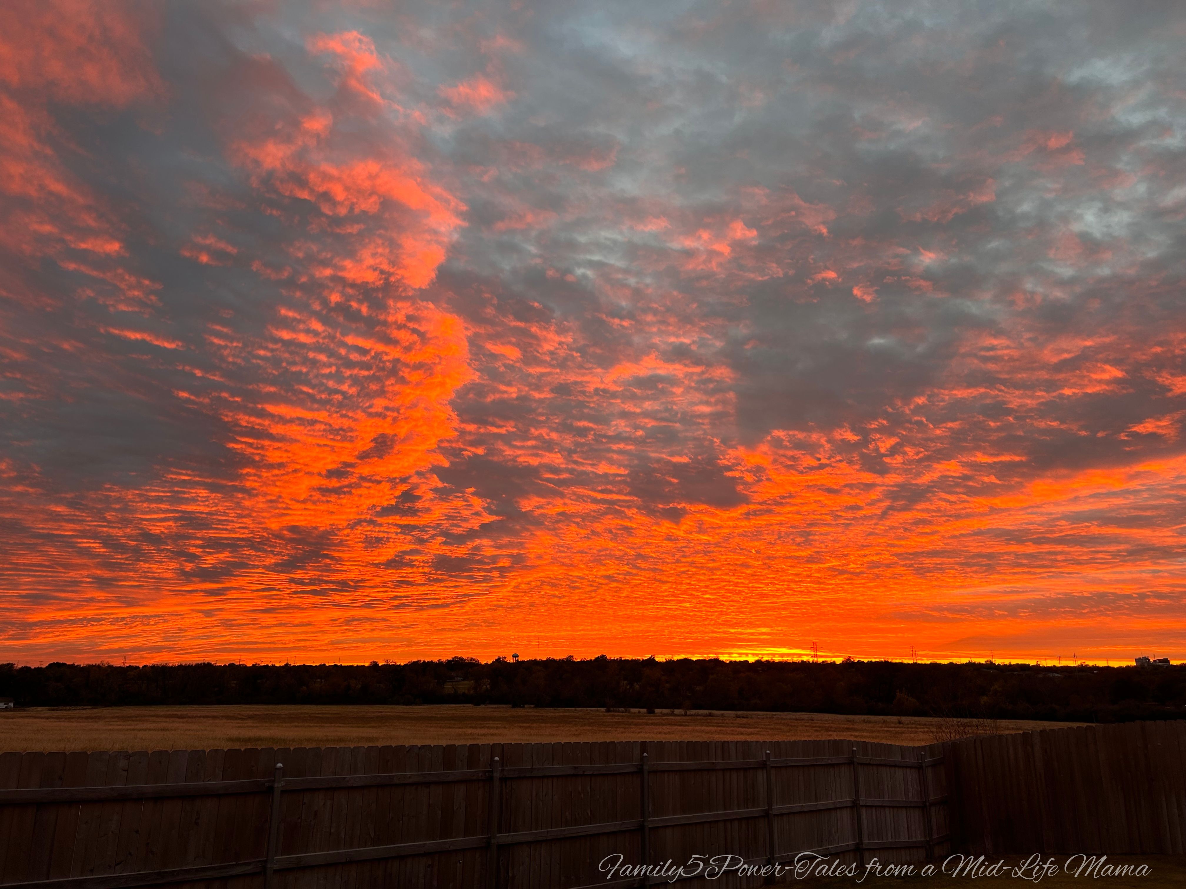 Texas Pride and Size – Tales from a Mid-Lifer