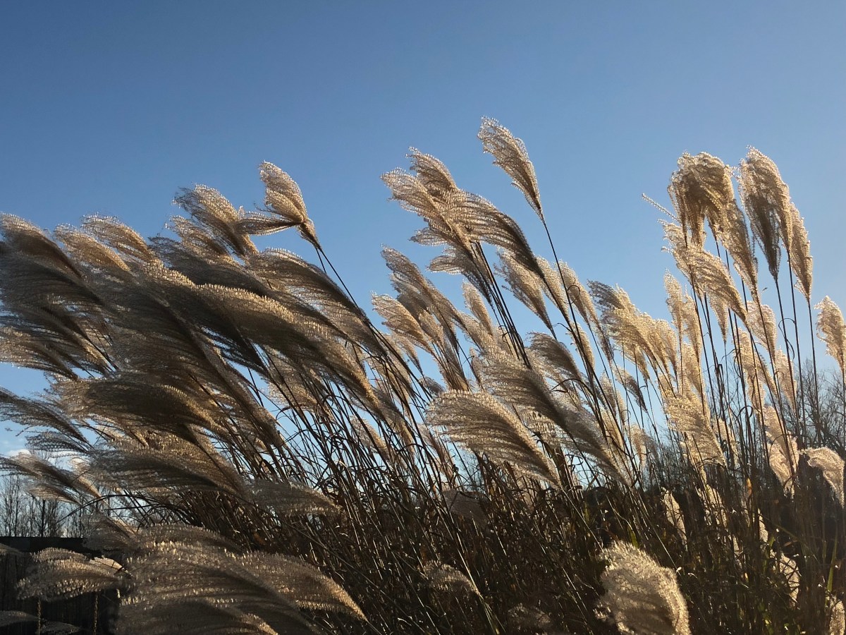 Somber Sunday, Hopeful Monday – Tales from a Mid-Life Mama