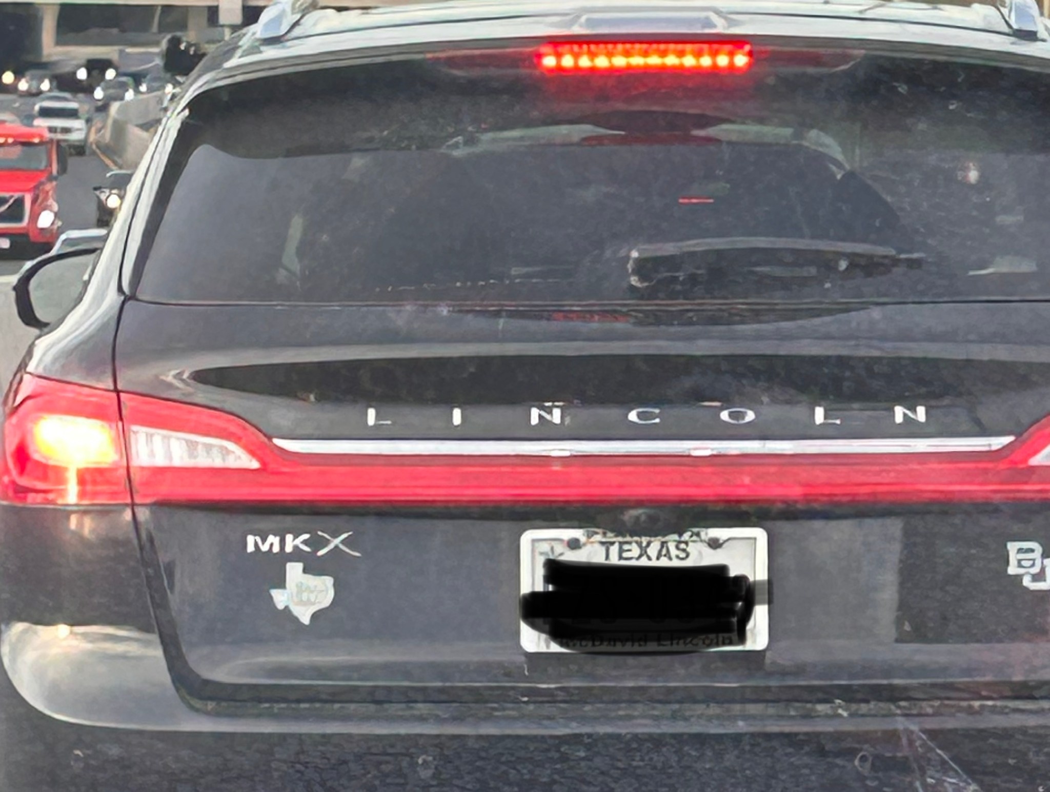 Texas Pride and Size – Tales from a Mid-Lifer
