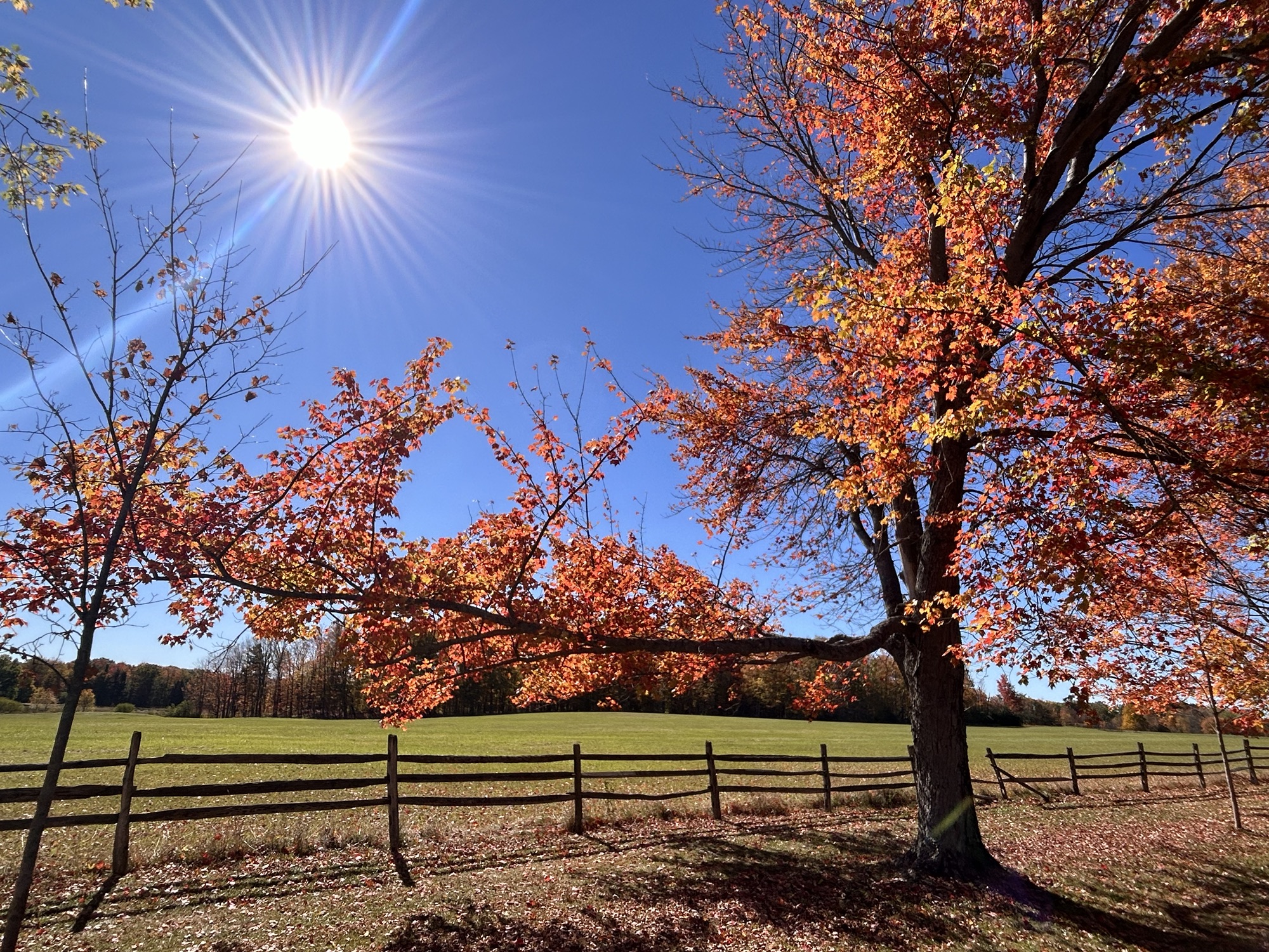 Farewell October – Tales from a Mid-Lifer